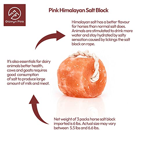 Glowyn Pink Himalayan Salt Lick Mineral Salt Block on Rope 4 Pack – 100% Organic Pink Salt Block for Horses Deer and Livestock. These Horse Licks Contain no Harmful Elements.