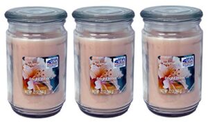 mainstays 20oz bright hibiscus scented candles, 3-pack