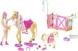 barbie groom 'n care horse playset with blond doll, 2 nodding horses & 20+ accessories, style color-change manes with tool & clips