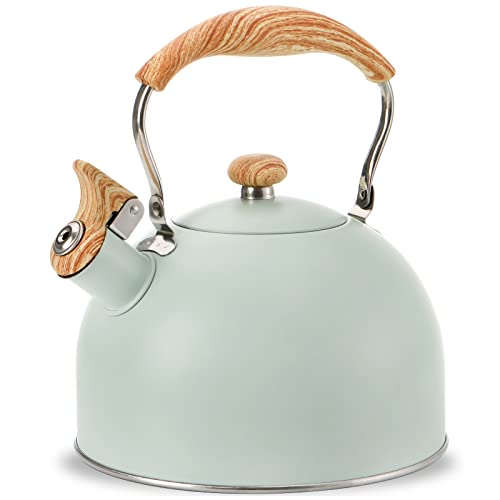 TOPZEA Tea Kettle with Handle, 2.6 Quart Stainless Steel Whistling Teapot Stove Top Tea Kettle for Heating Water, Fast Boiling Water Teakettle, Green