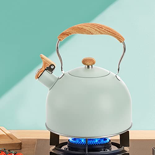 TOPZEA Tea Kettle with Handle, 2.6 Quart Stainless Steel Whistling Teapot Stove Top Tea Kettle for Heating Water, Fast Boiling Water Teakettle, Green