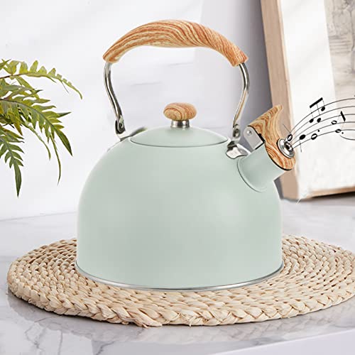 TOPZEA Tea Kettle with Handle, 2.6 Quart Stainless Steel Whistling Teapot Stove Top Tea Kettle for Heating Water, Fast Boiling Water Teakettle, Green