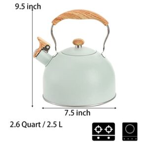 TOPZEA Tea Kettle with Handle, 2.6 Quart Stainless Steel Whistling Teapot Stove Top Tea Kettle for Heating Water, Fast Boiling Water Teakettle, Green