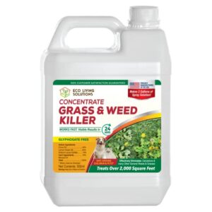 weed killer concentrate - eco living solutions weed killer spray | pet safe weed killer | organic weed and grass killer | moss killer | crabgrass & dandelion killer | glyphosate free herbicide