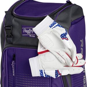 Rawlings Franchise Player's Baseball Backpack, Purple