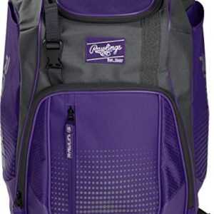 Rawlings Franchise Player's Baseball Backpack, Purple