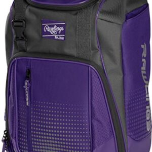 Rawlings Franchise Player's Baseball Backpack, Purple