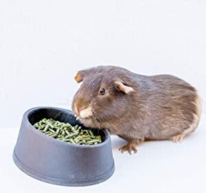 High Desert Delight Alfalfa Pellets: The Holy Grail of Small Pet Food for Your Furry, Feathered, and Shelled Friends