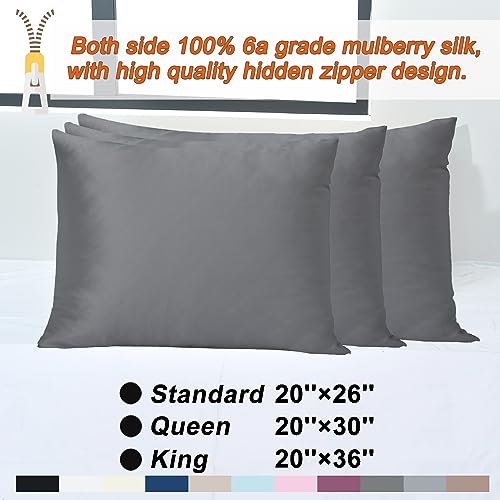 BIGHAS 100% Mulberry Silk Pillowcase for Hair and Skin with Hidden Zipper, Soft Breathable Natural Both Side 19 Momme Silk, 600 Thread Count (Beige, Standard)