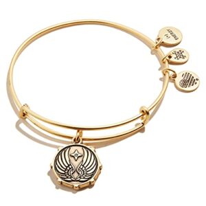 alex and ani path of symbols expandable bangle for women, guardian angel wings charm, rafaelian gold finish, 2 to 3.5 in