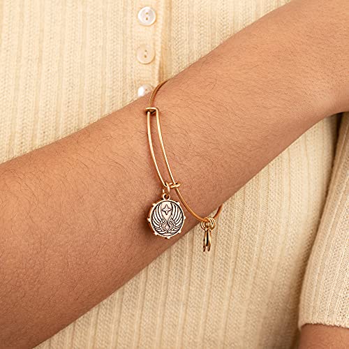 Alex and Ani Path of Symbols Expandable Bangle for Women, Guardian Angel Wings Charm, Rafaelian Gold Finish, 2 to 3.5 in