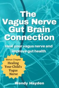 the vagus nerve gut brain connection: heal your vagus nerve and improve gut health