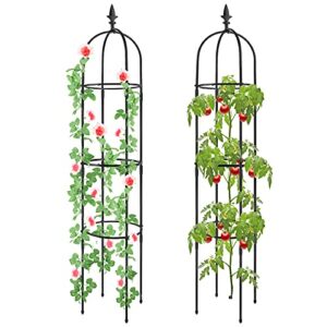 2pcs plant cages and supports, deaunbr tomato cage 6ft tall plant stakes heavy duty garden trellis for indoor & outdoor plants, climbing plant, tomatoes, vegetables, fruits, flowers, pots, vines