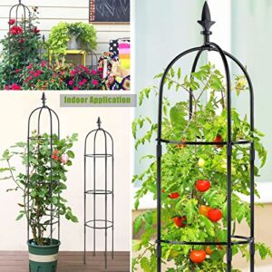 2Pcs Plant Cages and Supports, Deaunbr Tomato Cage 6FT Tall Plant Stakes Heavy Duty Garden Trellis for Indoor & Outdoor Plants, Climbing Plant, Tomatoes, Vegetables, Fruits, Flowers, Pots, Vines