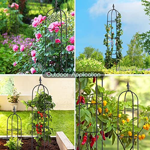 2Pcs Plant Cages and Supports, Deaunbr Tomato Cage 6FT Tall Plant Stakes Heavy Duty Garden Trellis for Indoor & Outdoor Plants, Climbing Plant, Tomatoes, Vegetables, Fruits, Flowers, Pots, Vines