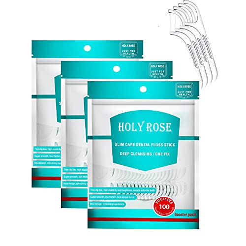 Travel Dental Floss Picks,Refill Bagged Floss Sticks,Holy Rose High Toughness Adults Flosser Toothpick,300 Count Professional Clean Flossers for Teeth Hygiene, Oral Care and Health.