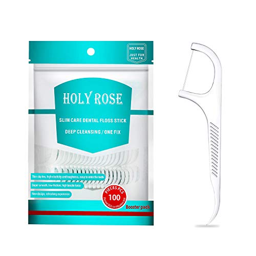 Travel Dental Floss Picks,Refill Bagged Floss Sticks,Holy Rose High Toughness Adults Flosser Toothpick,300 Count Professional Clean Flossers for Teeth Hygiene, Oral Care and Health.