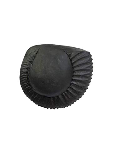 numeroastro Natural & Original Shaligram Stone | Shila (Laxmi Narayan Ji) (AAA Quality) from Gandaki River Nepal (1 Set)