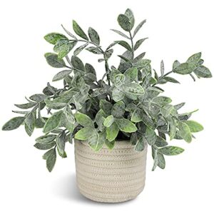 hopewood faux plants, small fake plant for bathroom, decorative artificial plants for farmhouse desk shelf decor with a weave basket (9.8inch)