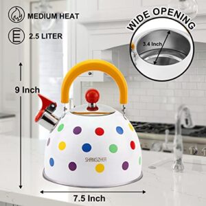 SHANGZHER Cute Tea Kettle Stovetop Whistling Colorful Polka Dots Kettle Stainless Steel Tea Pot Foldable Handle (Polka dots 2.6 Quart / 2.5 Liter)