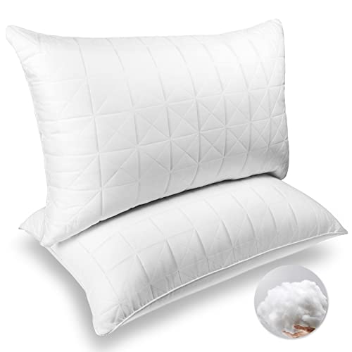 NEIPOTA Pillows Standard Size Set of 2, Standard Pillows 2 Pack 20 x 26, Cooling Side Sleeper Pillow Hotel Bed Pillows & Positioners, Gel Fiber Hypoallergenic Bed Pillow for Sleeping Twin Washable