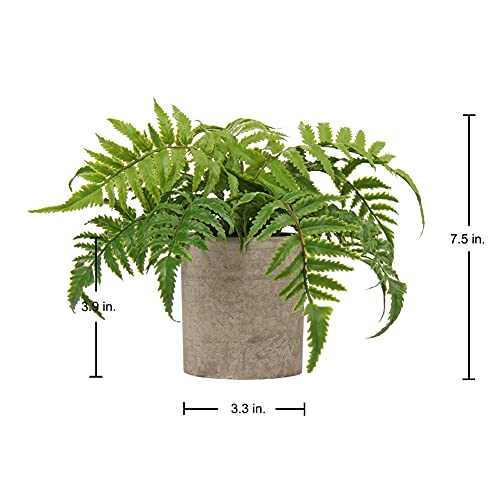 Briful Small Fake Plant Potted Plants Artificial Decor Silk Ferns Plant Faux Plants in Pots for Home Living Room Bedroom Desk Bathroom Shelf Farmhouse Decoration