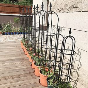 Garden Obelisk Trellis for Climbing Plants, Rustproof Plastic Coated Metal Plant Support, Garden Tower Trellis Indoor Potted Plant, Tomato Plant Cage for Support Rose, Vegetable Vines(1 Pack)