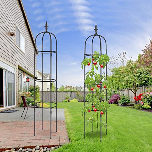 Garden Obelisk Trellis for Climbing Plants, Rustproof Plastic Coated Metal Plant Support, Garden Tower Trellis Indoor Potted Plant, Tomato Plant Cage for Support Rose, Vegetable Vines(1 Pack)