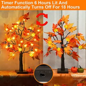 [ Timer ] 2 Pack 22 Inch Prelit Lighted Maple Tree Fall Halloween Decor Fall Tree 48 LEDs Battery Operated 12 Exclusive Patent Pumpkins 12 Acorns Orange Red Maple Tree Thanksgiving Decor Indoor Home