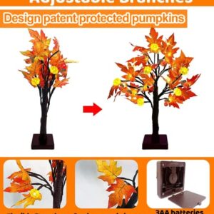 [ Timer ] 2 Pack 22 Inch Prelit Lighted Maple Tree Fall Halloween Decor Fall Tree 48 LEDs Battery Operated 12 Exclusive Patent Pumpkins 12 Acorns Orange Red Maple Tree Thanksgiving Decor Indoor Home