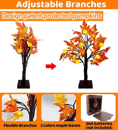 [ Timer ] 2 Pack 22 Inch Prelit Lighted Maple Tree Fall Halloween Decor Fall Tree 48 LEDs Battery Operated 12 Exclusive Patent Pumpkins 12 Acorns Orange Red Maple Tree Thanksgiving Decor Indoor Home