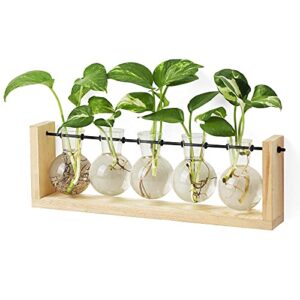 mkono plant terrarium with wooden stand, wall hanging glass planter desktop plant propagation vase with metal swivel retro rack for hydroponics plants home office decor (5 bulb vase)