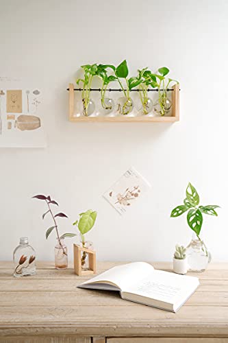 Mkono Plant Terrarium with Wooden Stand, Wall Hanging Glass Planter Desktop Plant Propagation Vase with Metal Swivel Retro Rack for Hydroponics Plants Home Office Decor (5 Bulb Vase)