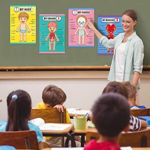 Human Body Educational Learning Posters Body Parts Learning Wall Chart for Kids Cartoon Anatomy Chart Educational Poster Preschool Kindergarten Teaching Supplies, Classroom Decoration, 17 x 11 Inch