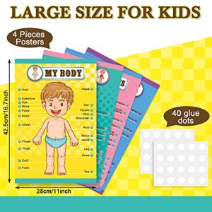 Human Body Educational Learning Posters Body Parts Learning Wall Chart for Kids Cartoon Anatomy Chart Educational Poster Preschool Kindergarten Teaching Supplies, Classroom Decoration, 17 x 11 Inch