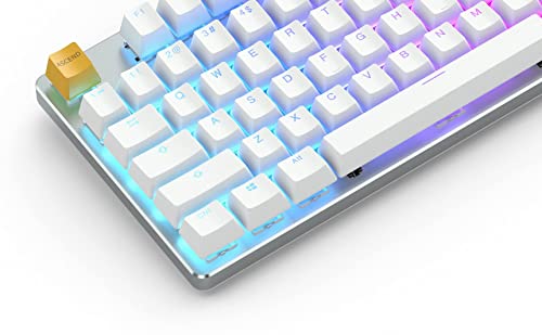 Glorious Custom Gaming Keyboard - GMMK 85% Percent TKL - USB C Wired Mechanical Keyboard - RGB Hot Swappable Switches & Keycaps - Silver/White Metal Top Plate