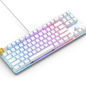 Glorious Custom Gaming Keyboard - GMMK 85% Percent TKL - USB C Wired Mechanical Keyboard - RGB Hot Swappable Switches & Keycaps - Silver/White Metal Top Plate