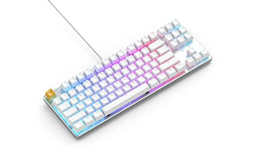 Glorious Custom Gaming Keyboard - GMMK 85% Percent TKL - USB C Wired Mechanical Keyboard - RGB Hot Swappable Switches & Keycaps - Silver/White Metal Top Plate