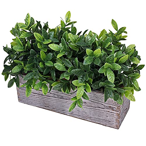 Artificial Eucalyptus Plant in Rustic Rectangular Wooden Planter Box Faux Potted Herb Plant Greenery Arrangement for Farmhouse Indoor Wedding Table Centerpiece Mantel Shelf Kitchen Decor