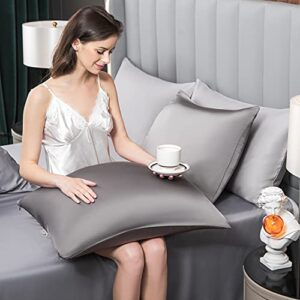 Mulberry Silk Pillowcase for Hair and Skin,Standard Size Cooling Silk Pillow Case with Hidden Zipper,Allergen Proof Dual Sides Soft Breathable Smooth Silk Pillow Cover for Women(Standard,Dark Gray)