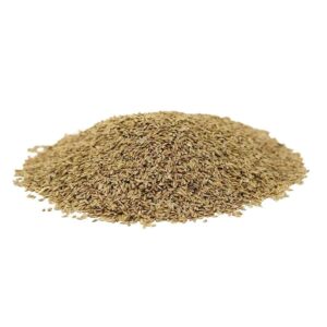 Hancock Seed Co. Common Bermuda Grass Seed - Coated & Unhulled, 50 lbs.