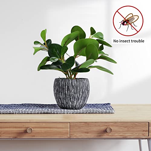 LORYDECO Artificial Potted Plants, Real Looking Fiddle Leaf Fake Plant with Pot, Plastic Watercress Leaves Small Faux Trees with Cement Planter, Greenery Plant Table Decor for Home Indoor