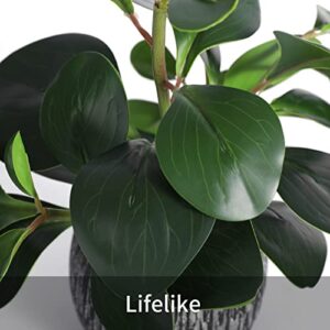 LORYDECO Artificial Potted Plants, Real Looking Fiddle Leaf Fake Plant with Pot, Plastic Watercress Leaves Small Faux Trees with Cement Planter, Greenery Plant Table Decor for Home Indoor