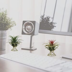 Nwsrayu Geometric Air Plant Holder Airplants Rack Metal Plants Stand Planter Shelves Himmeli Living Decor Tillandsia Pot Containers (Gold 3pcs)