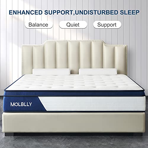 Molblly Queen Mattress, 10 Inch Hybrid Mattress with Gel Memory Foam,Motion Isolation Individually Wrapped Pocket Coils Mattress,Pressure Relief,Back Pain Relief& Cooling Queen Size Bed Mattress