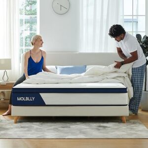 Molblly Queen Mattress, 10 Inch Hybrid Mattress with Gel Memory Foam,Motion Isolation Individually Wrapped Pocket Coils Mattress,Pressure Relief,Back Pain Relief& Cooling Queen Size Bed Mattress