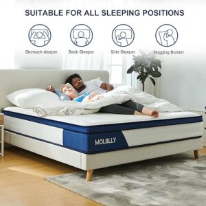 Molblly Queen Mattress, 10 Inch Hybrid Mattress with Gel Memory Foam,Motion Isolation Individually Wrapped Pocket Coils Mattress,Pressure Relief,Back Pain Relief& Cooling Queen Size Bed Mattress