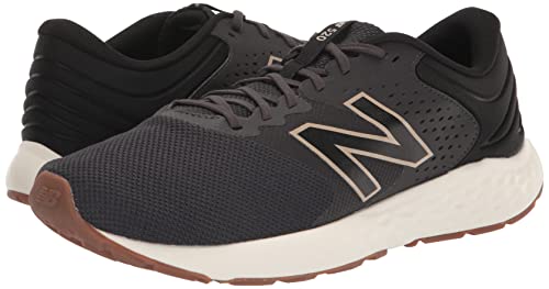 New Balance Men's 520 V7 Running Shoe, Phantom/White, 12