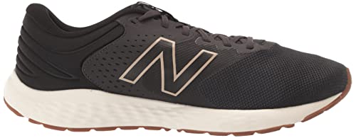 New Balance Men's 520 V7 Running Shoe, Phantom/White, 12