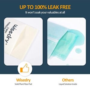 wisedry 62% Humidity Packs - 4 Pcs 60 Gram Two Way Moisture Control Packets - No Liquid Leakage, Individually Wrapped